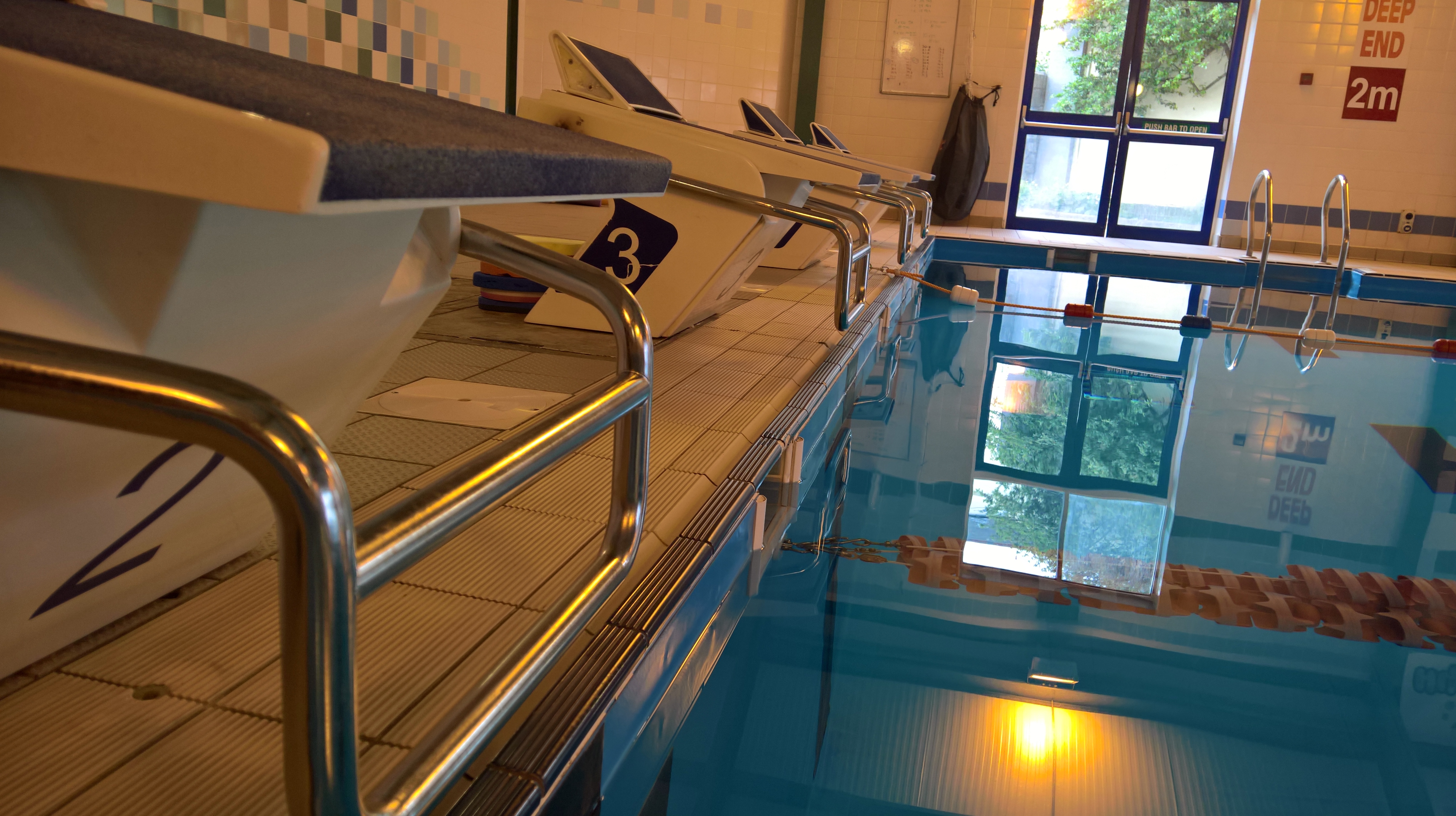 Plymouth Leander is one of Britain's leading competitive swimming clubs